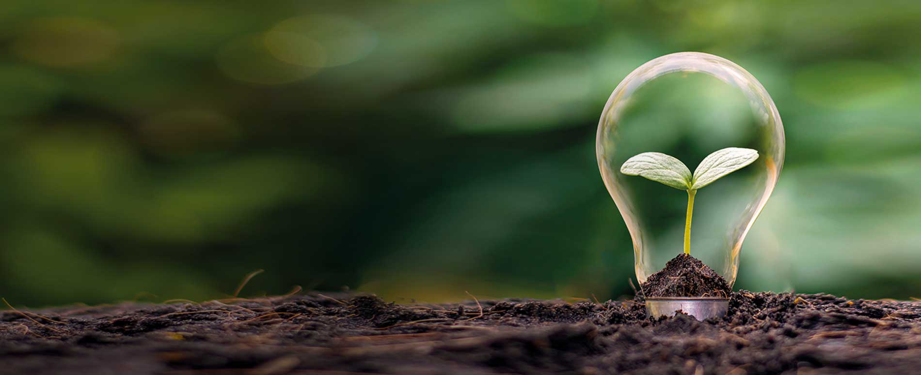 Willkommen bei VIVAVIS